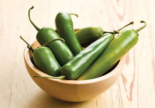Palabras ⋆ Diccionario enciclopédico de la Gastronomía Mexicana ⋆ Chile ...