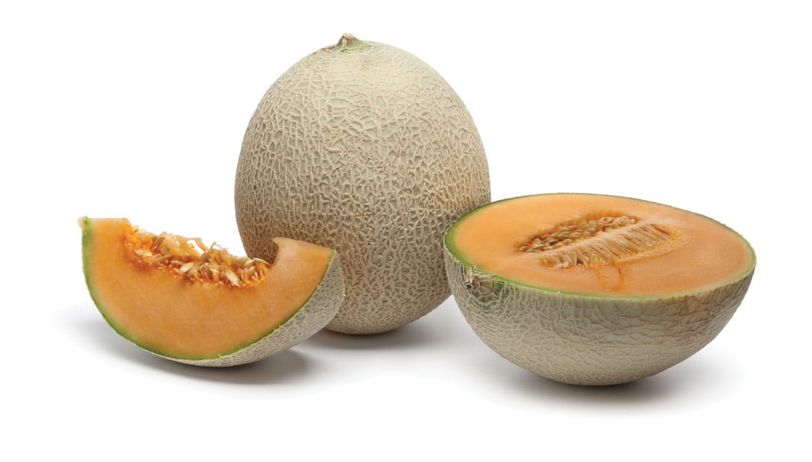 Palabras ⋆ Diccionario enciclopédico de la Gastronomía Mexicana ⋆ Melón ...
